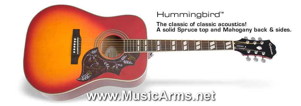 Hummingbird_ราคา | Music Arms