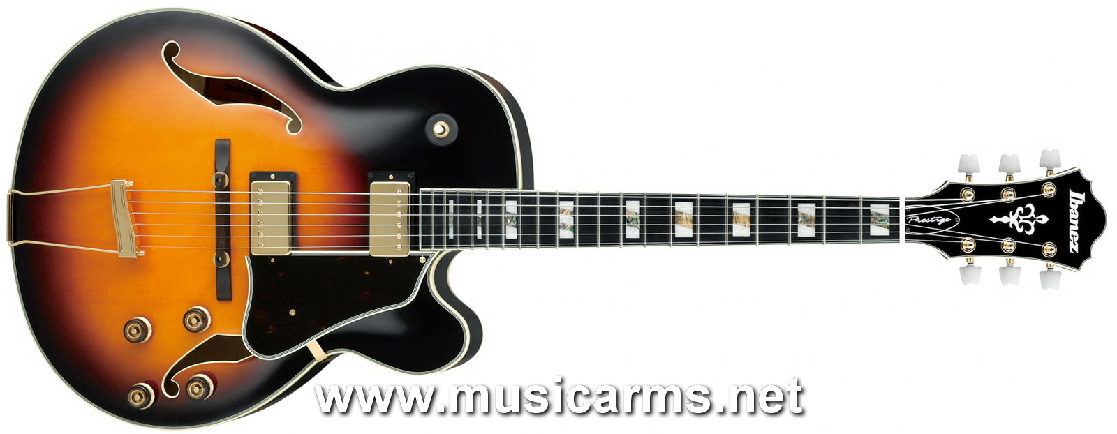 IBANEZ AF200 | Music Arms