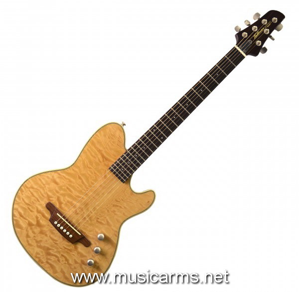 IBANEZ TMX 20 | Music Arms
