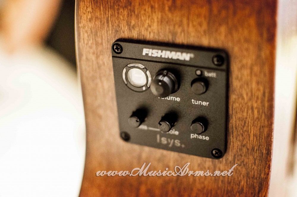 DSC_0221 | Music Arms