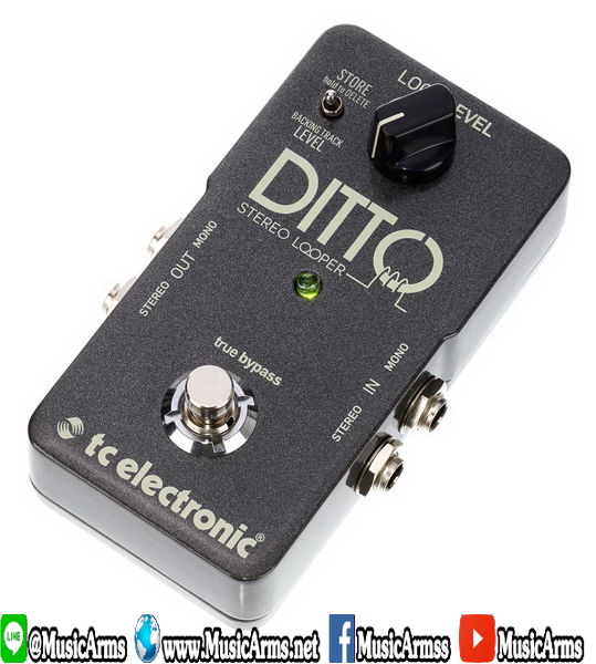 TC DITTO STEREO LOOPER | Music Arms