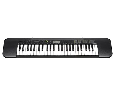 casio ctk-245 1.1 | Music Arms