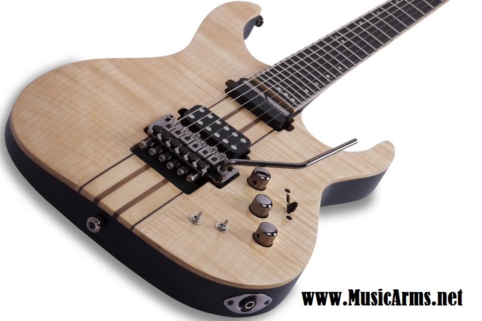 schecter | Music Arms