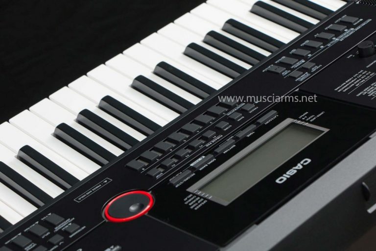 Casio CT-X800 คีย์บอร์ด 61 คีย์ | Music Arms ศูนย์รวมคีย์บอร์ดไฟฟ้า Casio