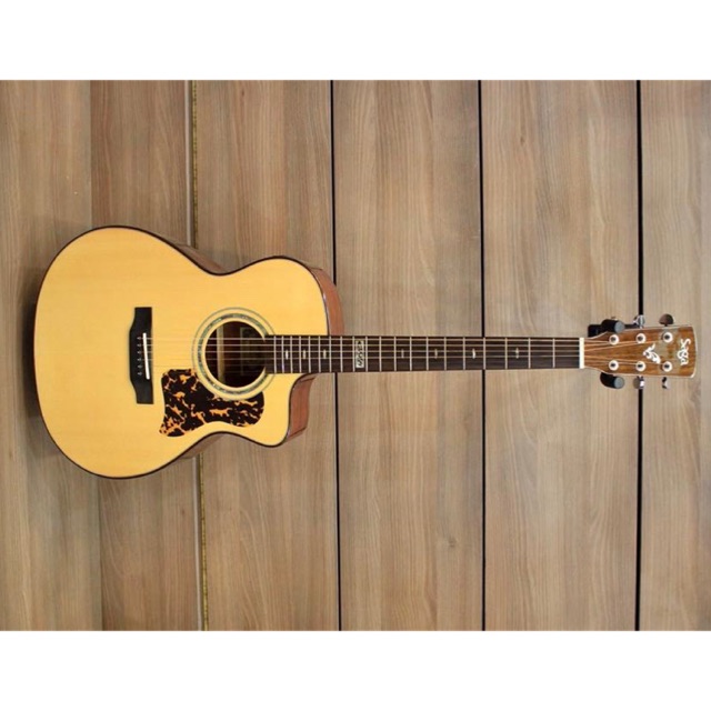 Saga G100C | Music Arms ศูนย์รวมเครื่องดนตรี ตั้งแต่เริ่มต้น ถึงมือ ...