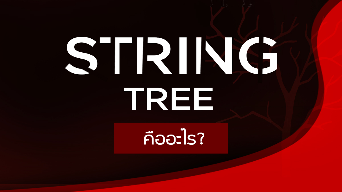 String Trees [สตริง ทรี] คืออะไร ? | Music Arms ศูนย์รวมเครื่องดนตรี ...