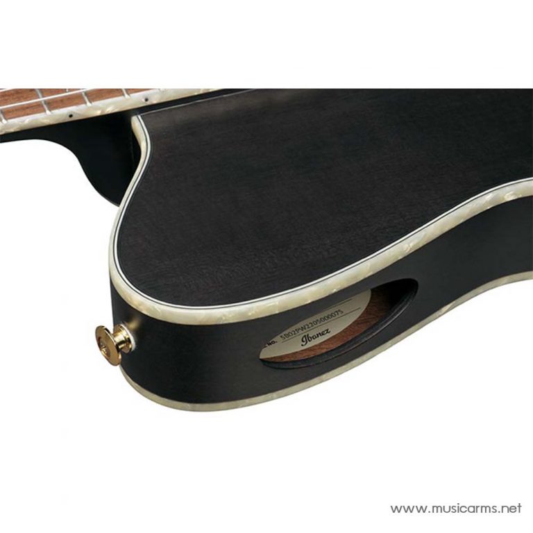 Ibanez TOD10N Tim Henson Signature กีตาร์โปร่งไฟฟ้า | Music Arms ศูนย์ ...