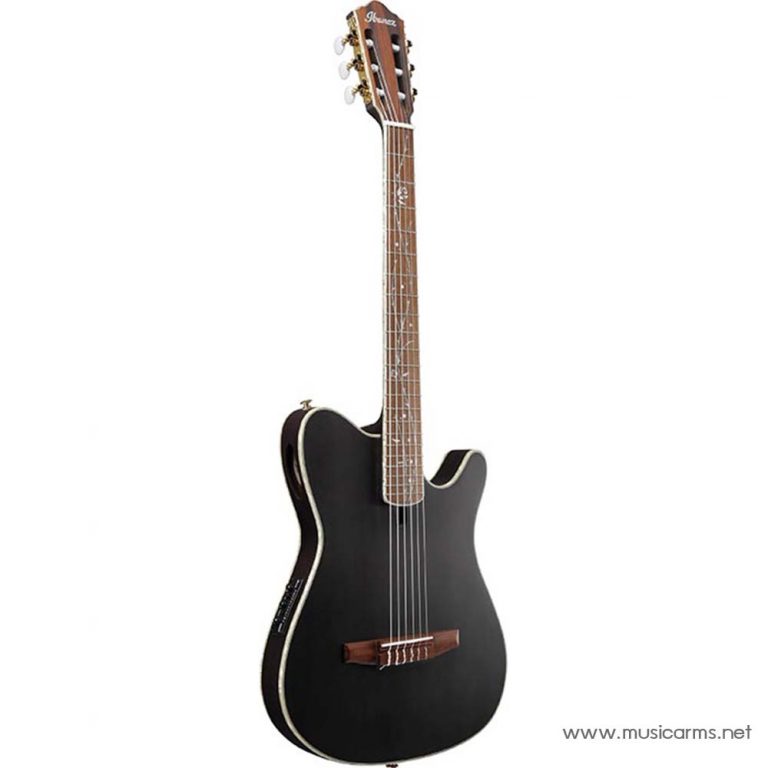 Ibanez TOD10N Tim Henson Signature กีตาร์โปร่งไฟฟ้า | Music Arms ศูนย์ ...