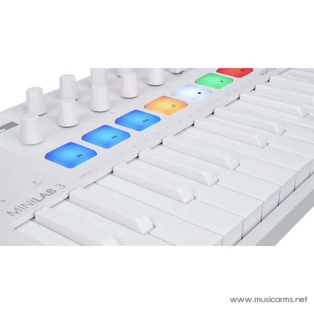 Arturia MiniLab 3 MIDI Controller | Music Arms ศูนย์รวมเครื่องดนตรี ...