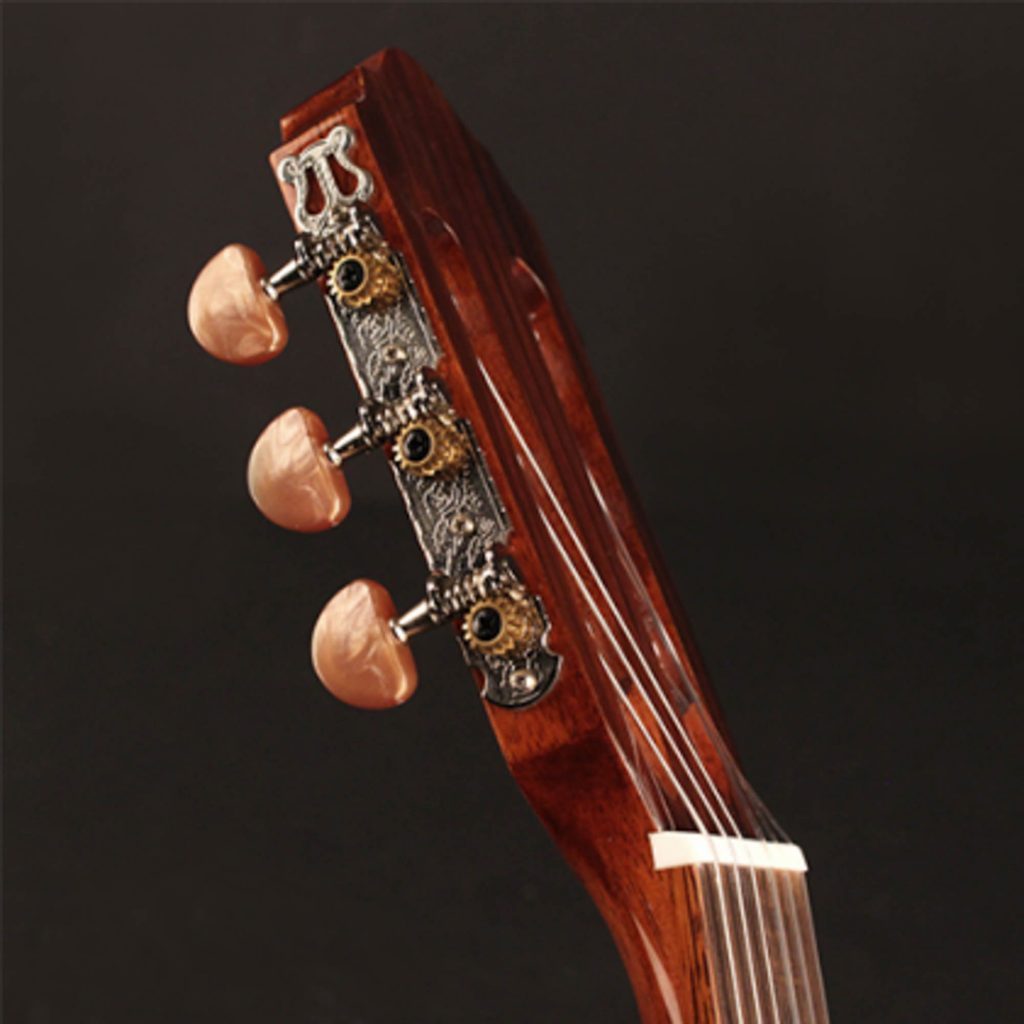Cort AC160 head | Music Arms