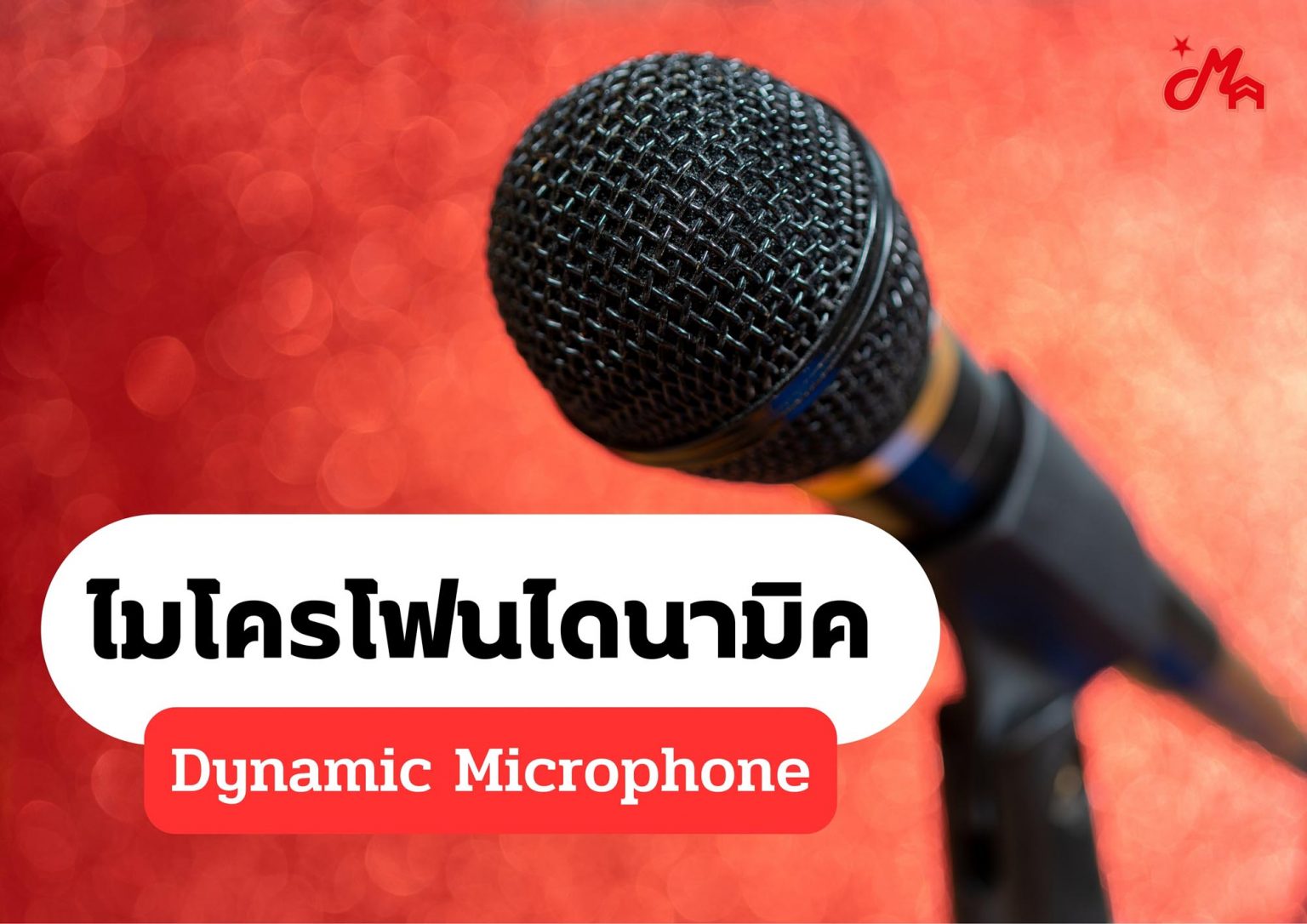 ไมโครโฟนไดนามิค Dynamic Microphone | Music Arms ศูนย์รวมเครื่องดนตรี ...