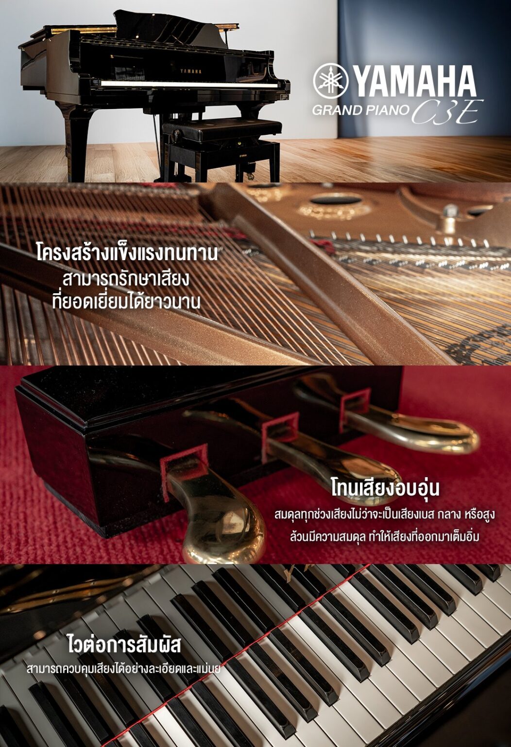 Yamaha C3E แกรนด์เปียโนมือสอง | Music Arms ศูนย์รวมเครื่องดนตรี ตั้งแต่ ...
