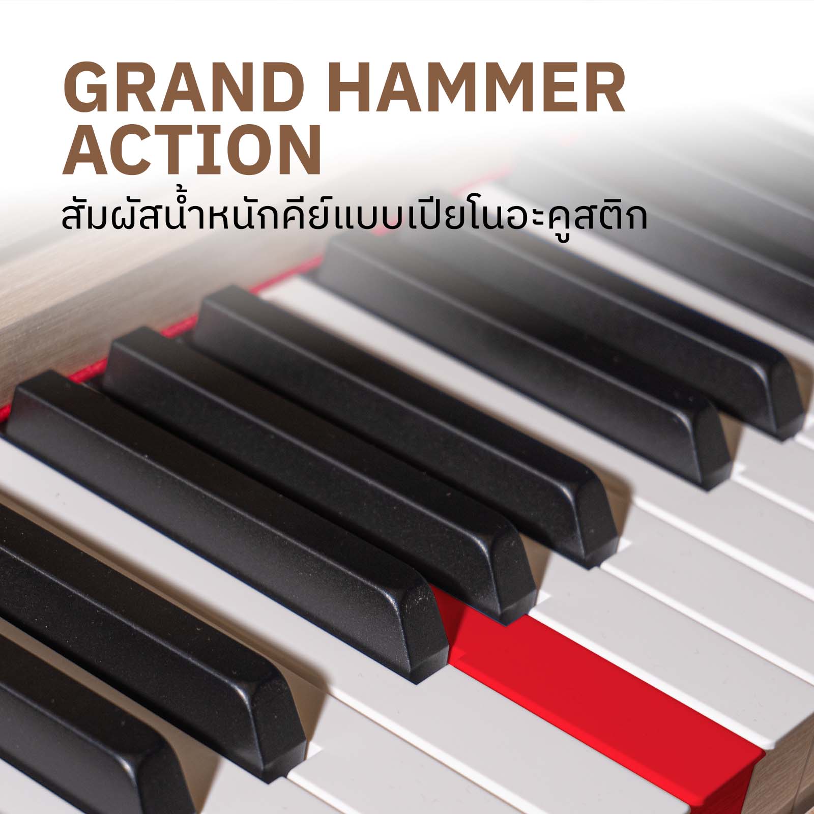 Coleman M-215 BT เปียโนไฟฟ้า | Music Arms ศูนย์รวมเครื่องดนตรี ตั้งแต่ ...