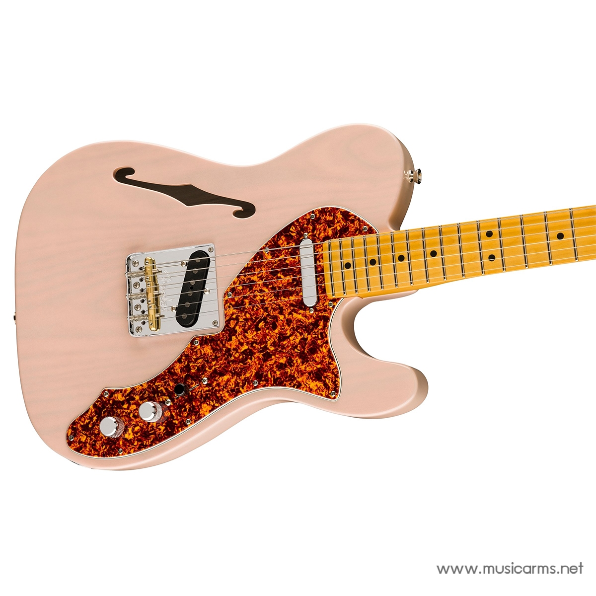 Fender American Professional II Telecaster Thinline Limited Edition ...