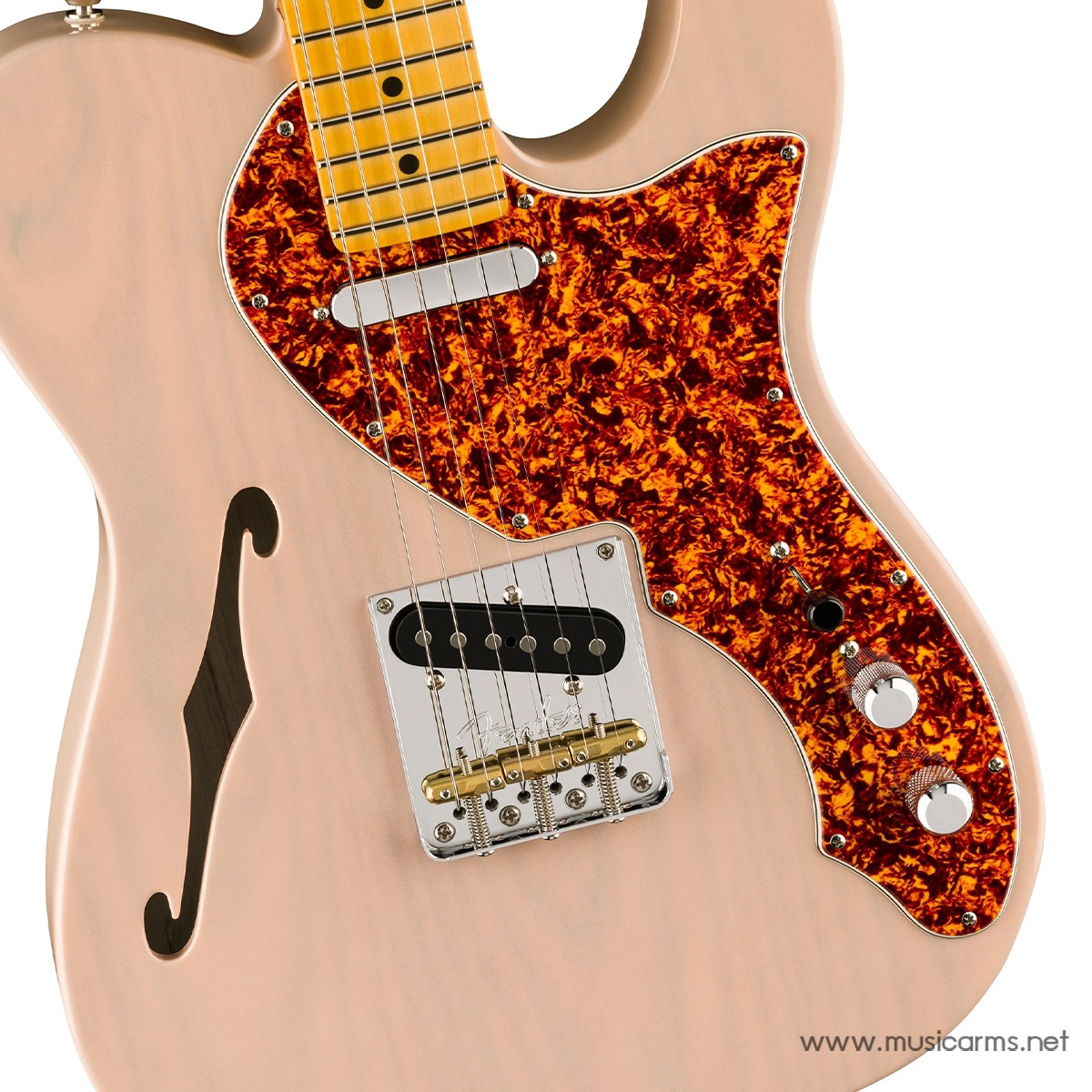 Fender American Professional II Telecaster Thinline Limited Edition ...