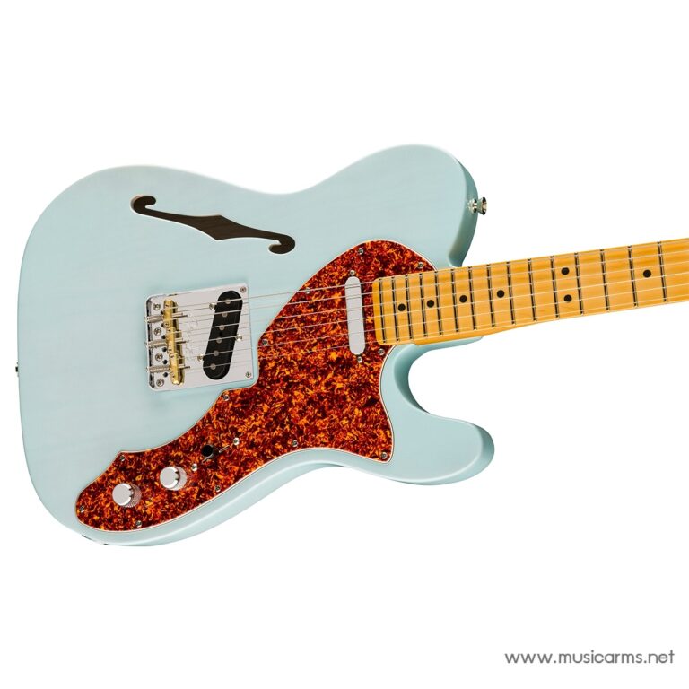 Fender American Professional II Telecaster Thinline Limited Edition ...