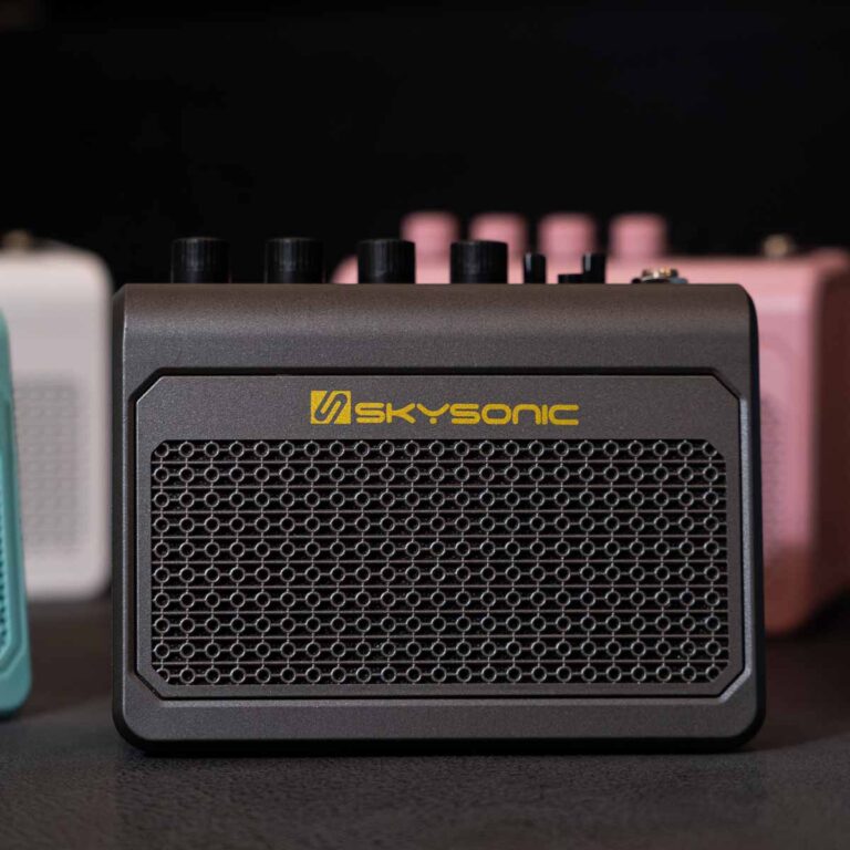Skysonic EG10PRO Amplifier แอมป์เอนกประสงค์ | Music Arms ศูนย์รวม ...