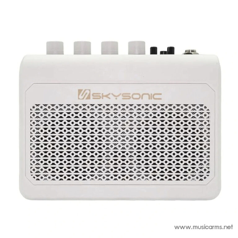 Skysonic EG10PRO Amplifier แอมป์เอนกประสงค์ | Music Arms ศูนย์รวม ...