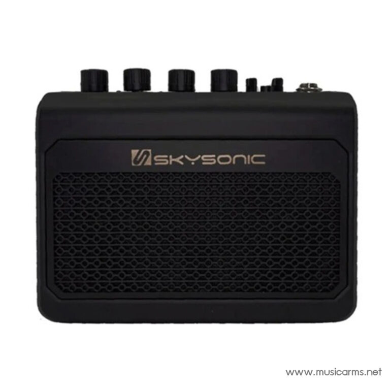 Skysonic EG10PRO Amplifier แอมป์เอนกประสงค์ | Music Arms ศูนย์รวม ...